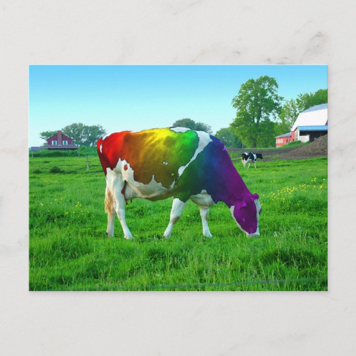 Rainbow Cow Postcard | Zazzle.co.uk