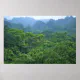 Rainforest canopy panorama poster | Zazzle