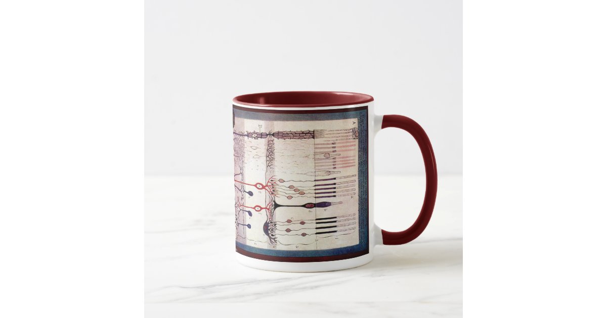 Ramon Y Cajal Mug | Zazzle