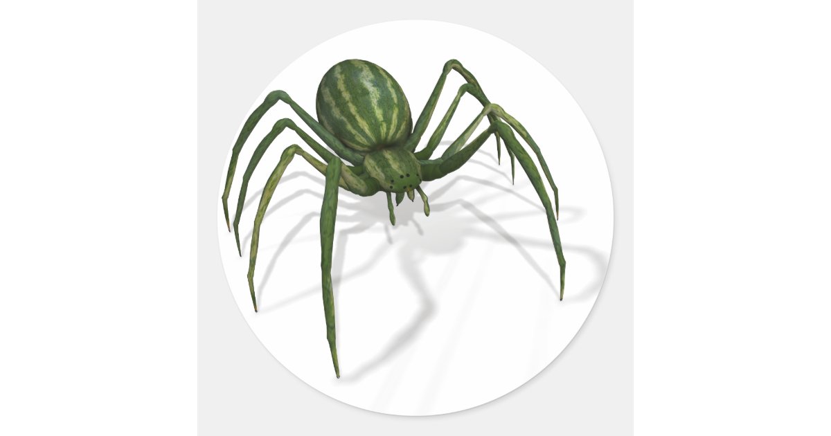 Rare Watermelon Spider Classic Round Sticker | Zazzle