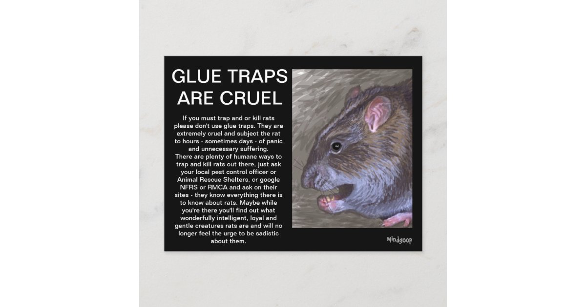 rat glue traps are cruel postcard | Zazzle