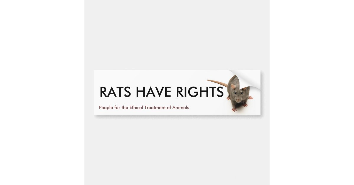 RATS HAVE RIGHTS BUMPER STICKER | Zazzle
