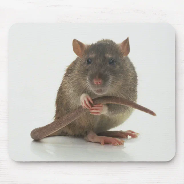 Rats!!! Mouse Mat | Zazzle