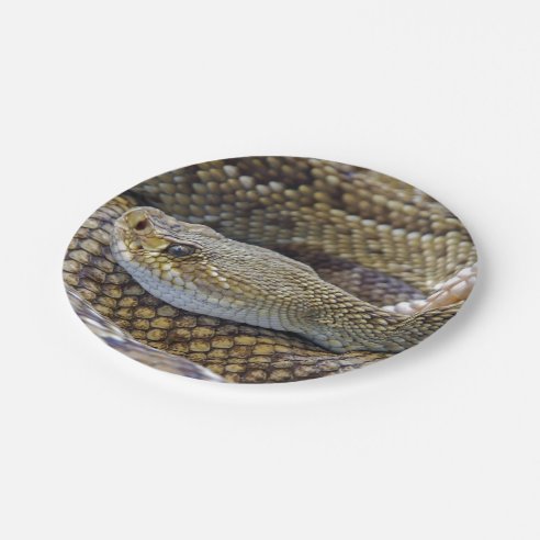 Snake Plates | Zazzle UK