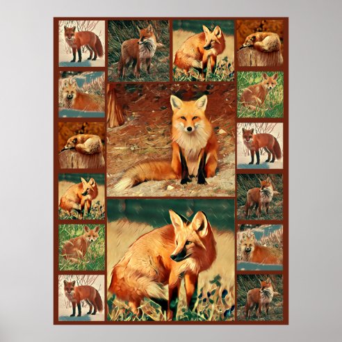 Red Fox Posters & Prints | Zazzle UK