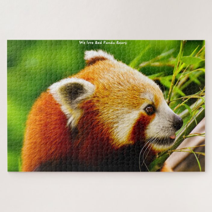Red Panda Bears. Jigsaw Puzzle | Zazzle.co.uk