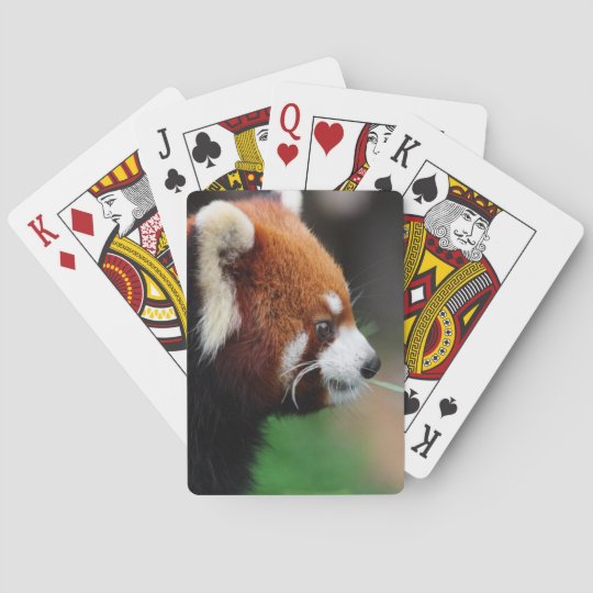 Red panda playing cards | Zazzle.co.uk