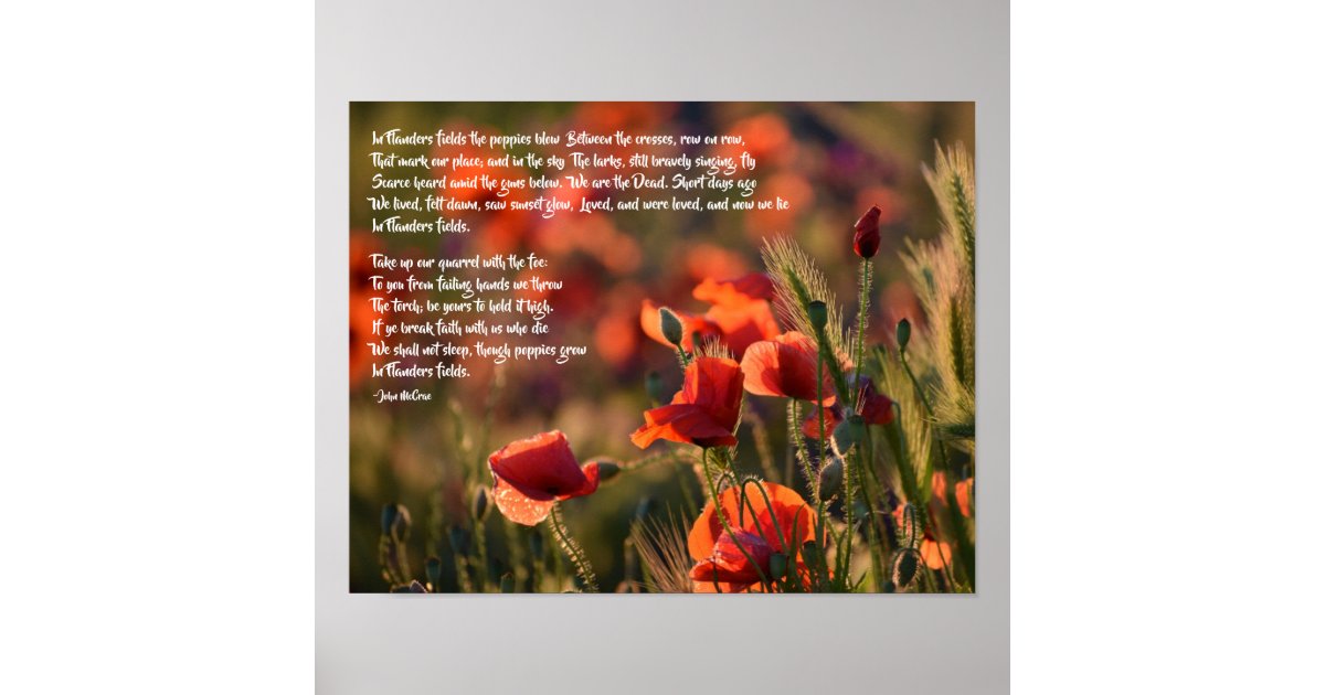 Red Poppies, In Flanders Fields Poem Poster | Zazzle
