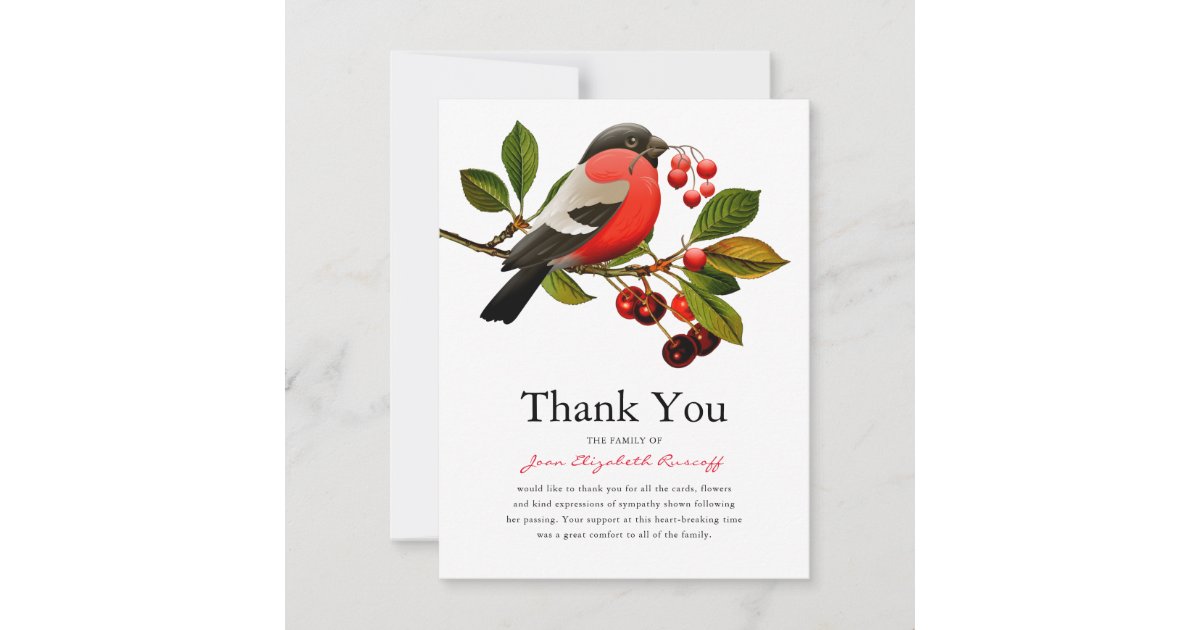 Red Robin | Sympathy bird Thank You | Zazzle