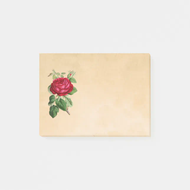 Red Rose Illustration on a Tan Background Post-it Notes | Zazzle