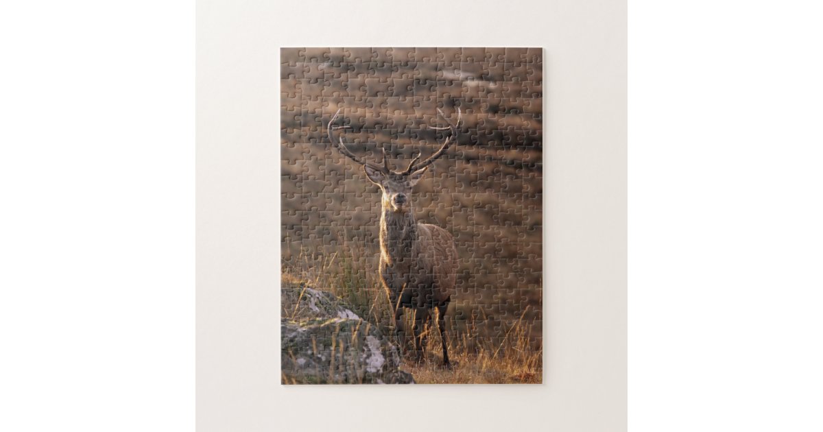 Red Stag Puzzle/Jigsaw Jigsaw Puzzle | Zazzle