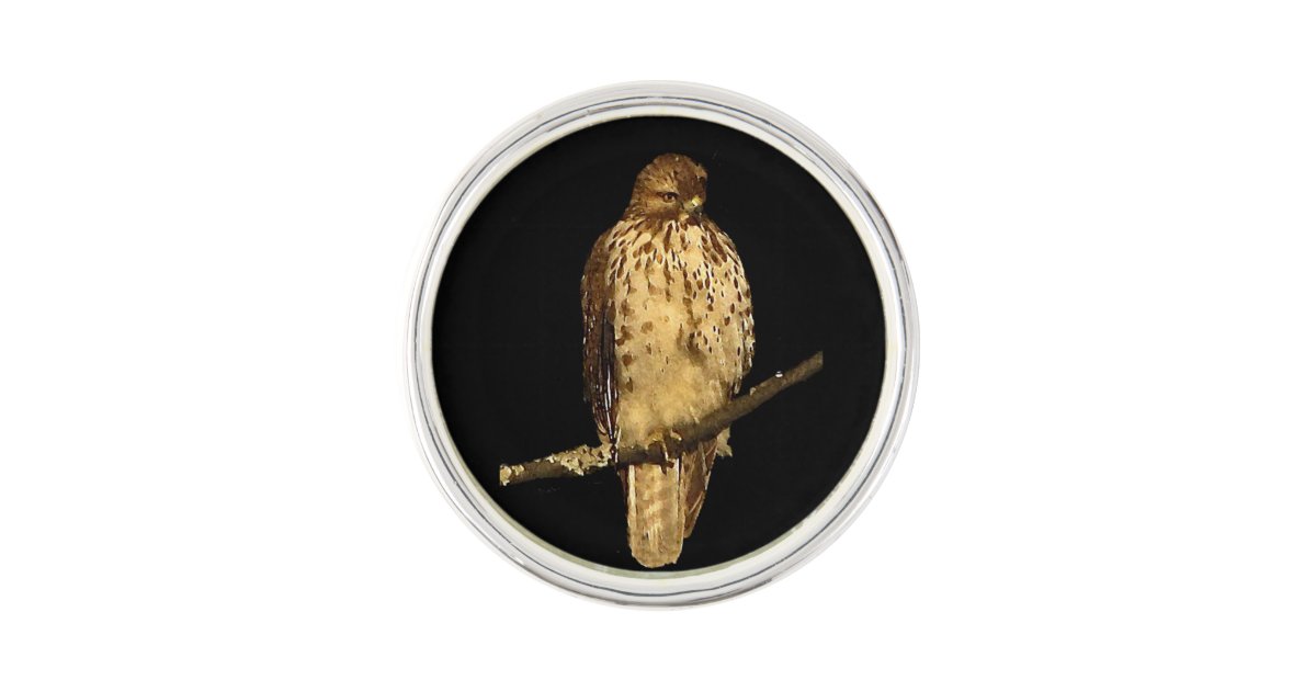 Red Tailed Hawk Lapel Pin | Zazzle
