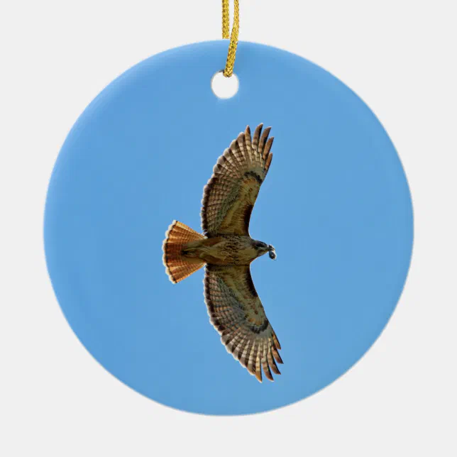 Red-Tailed Hawk Photo Ceramic Tree Decoration | Zazzle