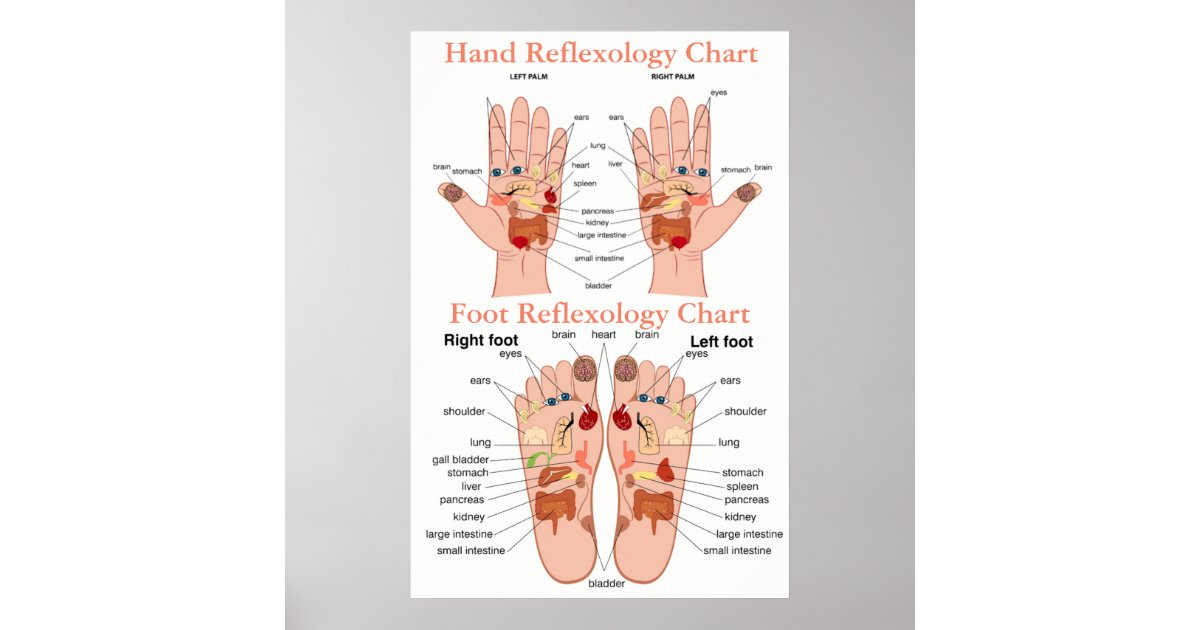 Reflexology Chart 20X30" | Zazzle