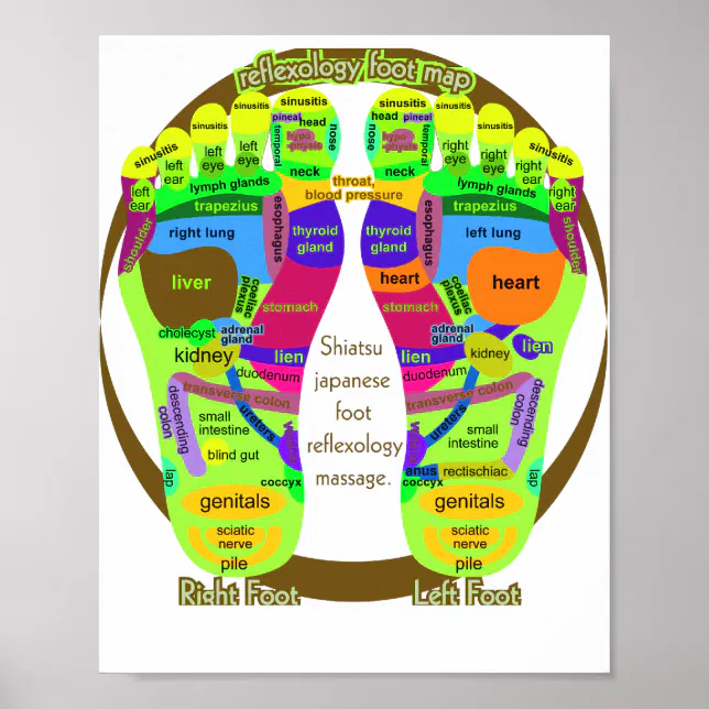 reflexology foot map classic round sticker poster | Zazzle