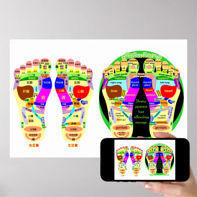 reflexology foot map poster | Zazzle