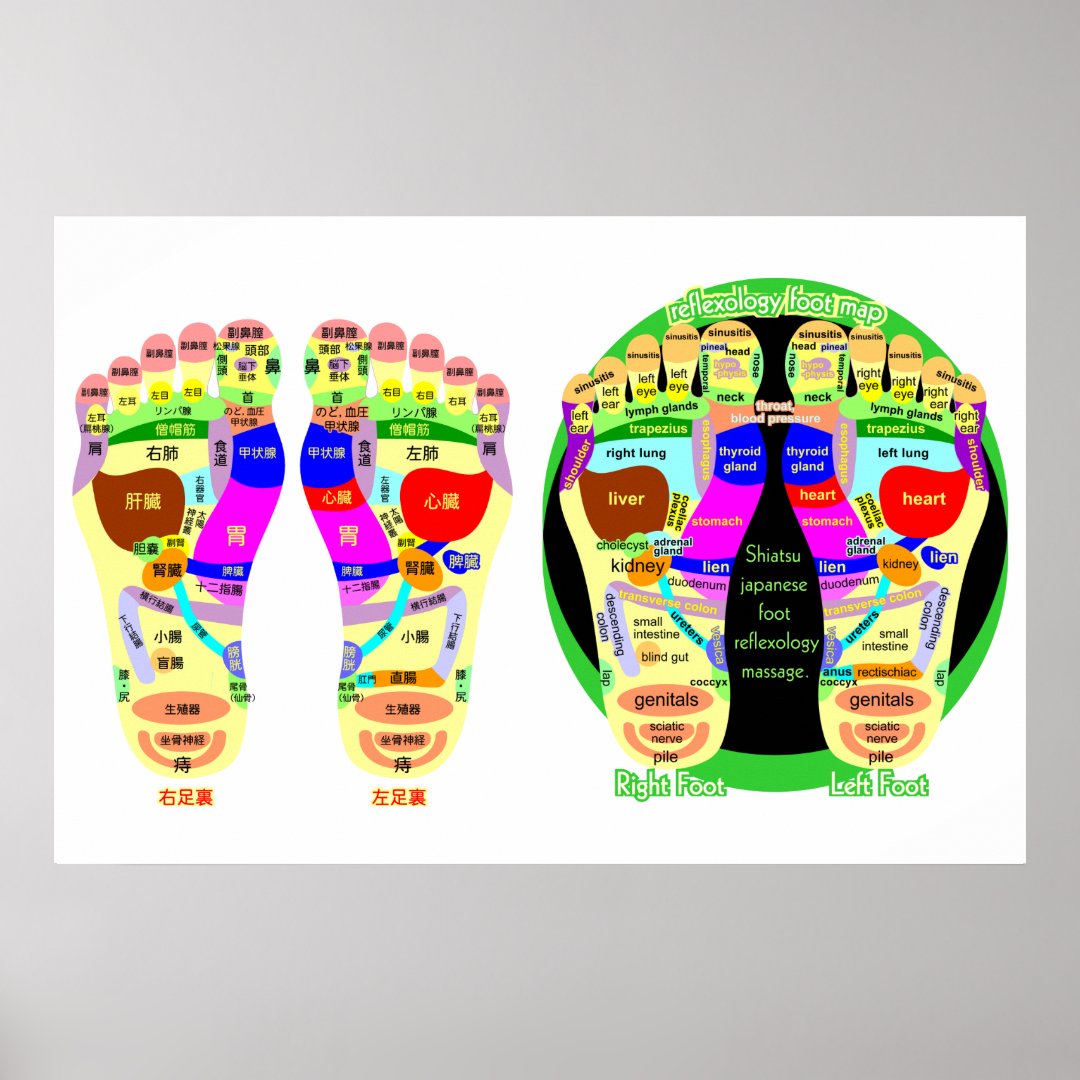 reflexology foot map poster | Zazzle