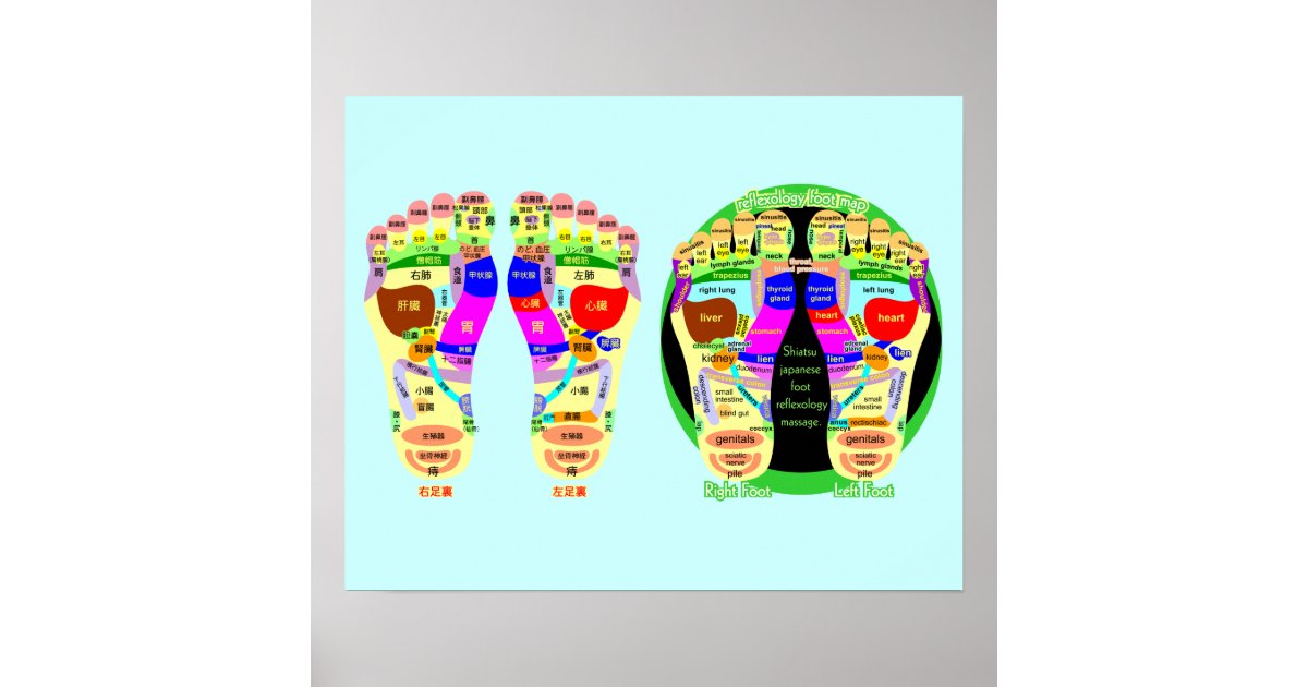 reflexology foot map poster | Zazzle