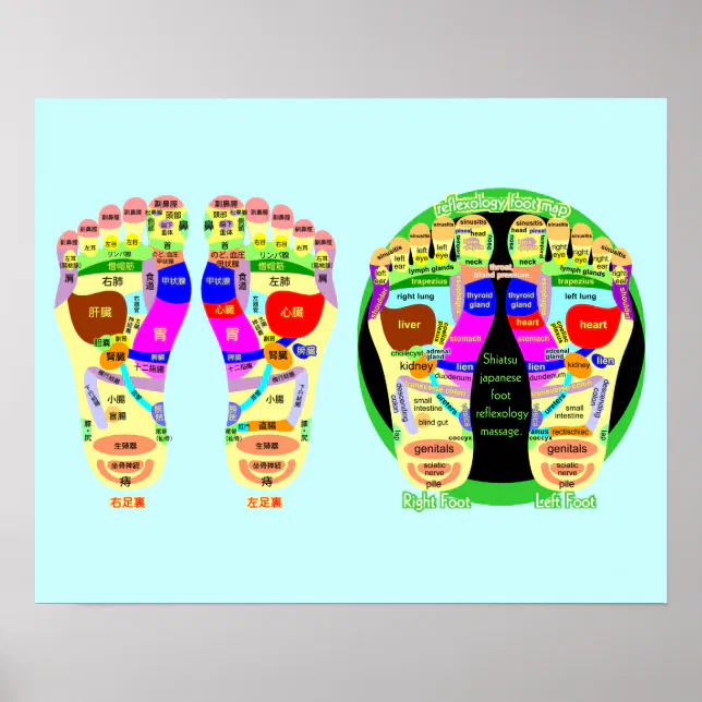 reflexology foot map poster | Zazzle