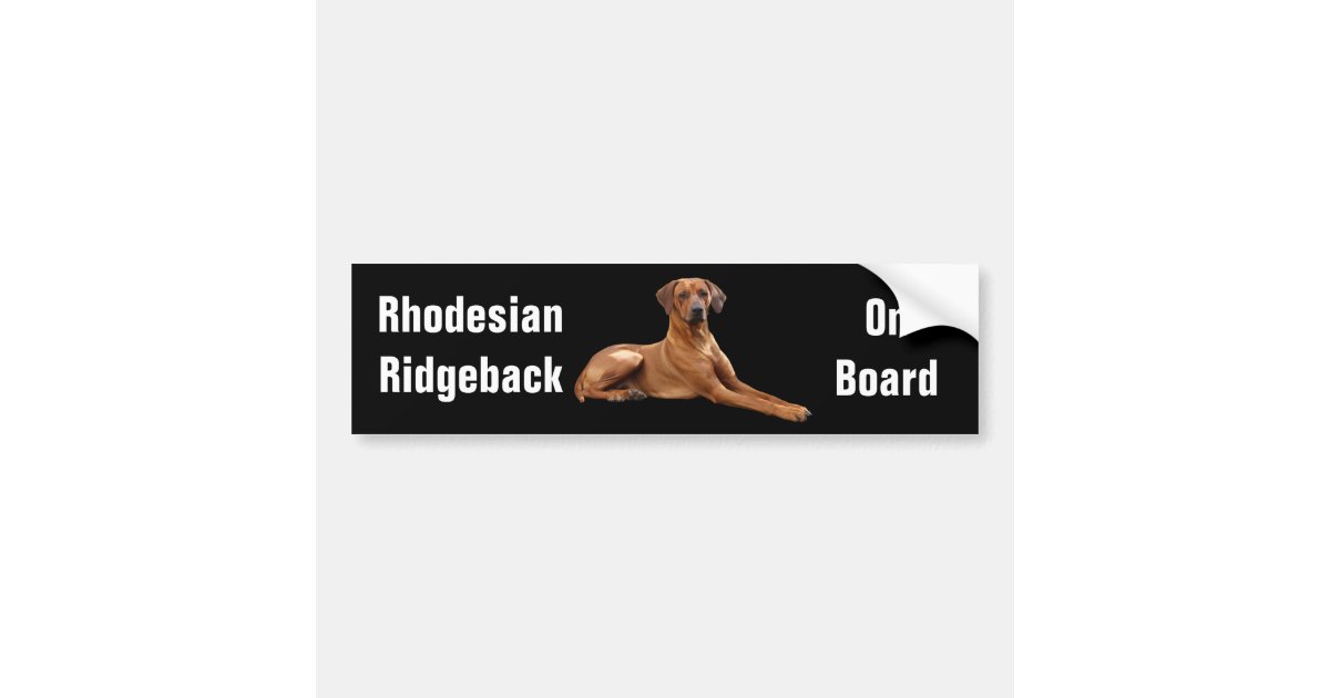Rhodesian Ridgeback bumper sticker | Zazzle