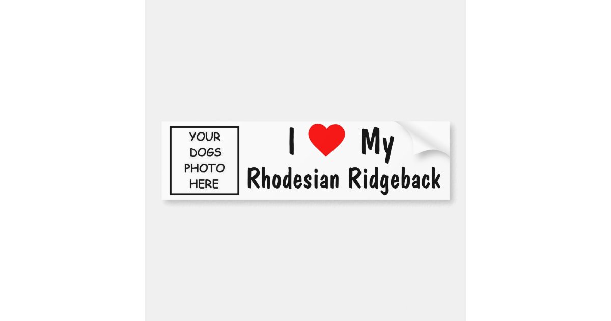 Rhodesian Ridgeback Bumper Sticker | Zazzle