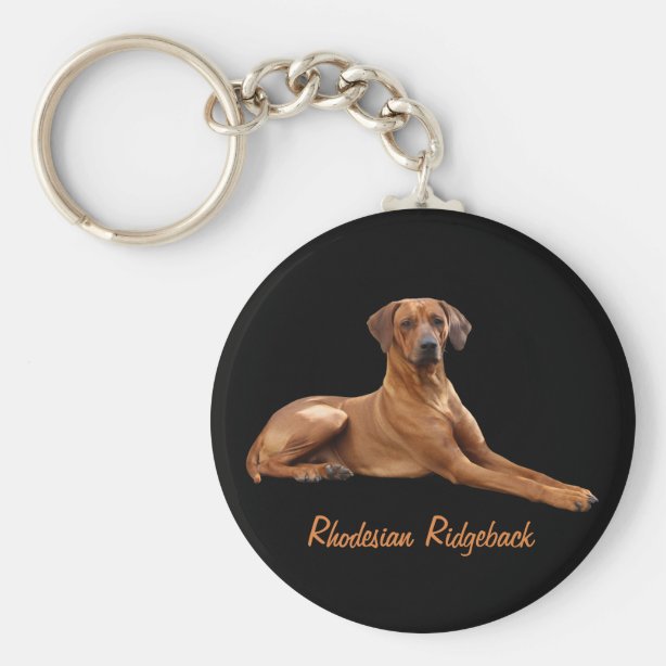 Rhodesian Ridgeback Gifts & Gift Ideas | Zazzle UK