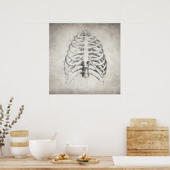 Rib Cage Poster | Zazzle