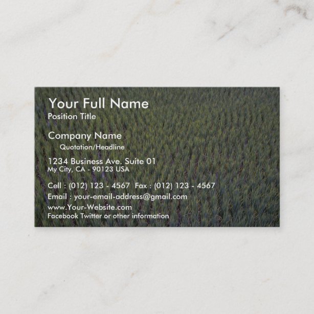 Rice Business Cards | Zazzle UK