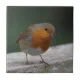 Robin Ceramic Tile | Zazzle