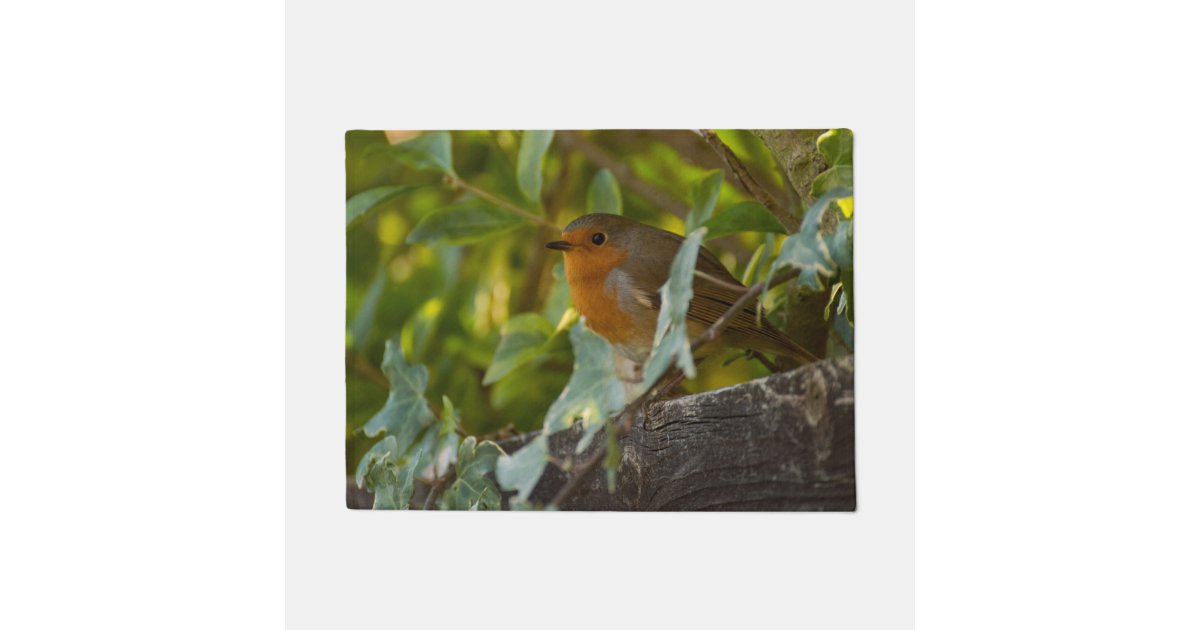 Robin Doormat | Zazzle