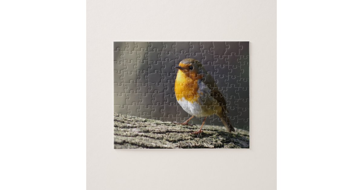 Robin Jigsaw Puzzle | Zazzle