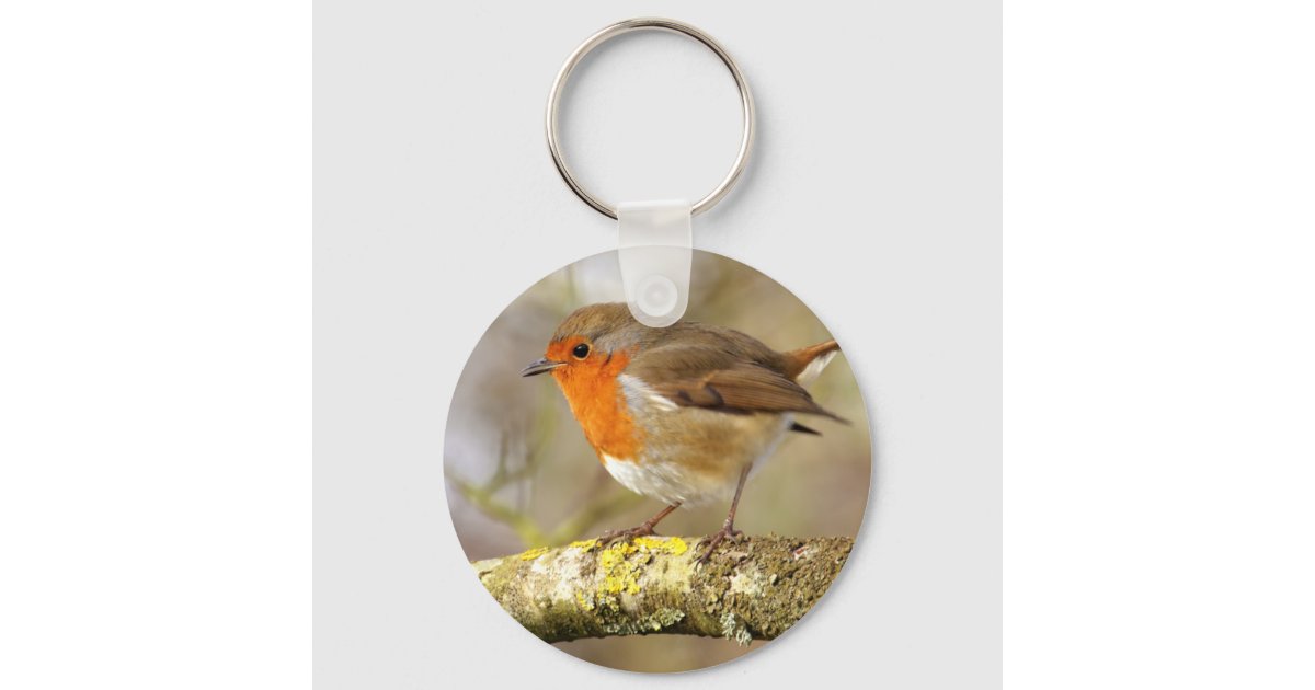 Robin Key Ring | Zazzle