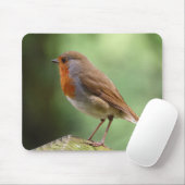 Robin Redbreast Mouse Mat | Zazzle