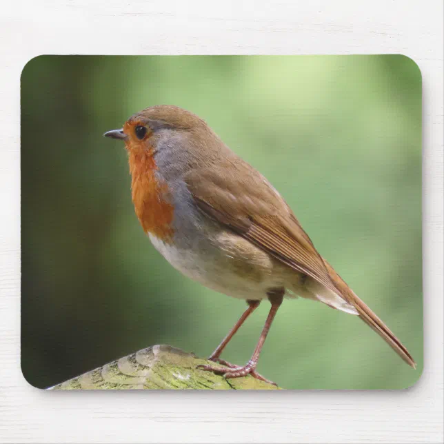 Robin Redbreast Mouse Mat | Zazzle