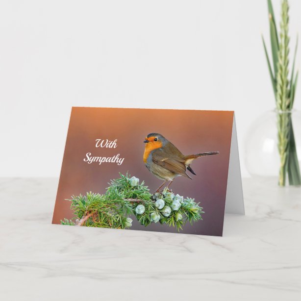Robin Cards | Zazzle UK