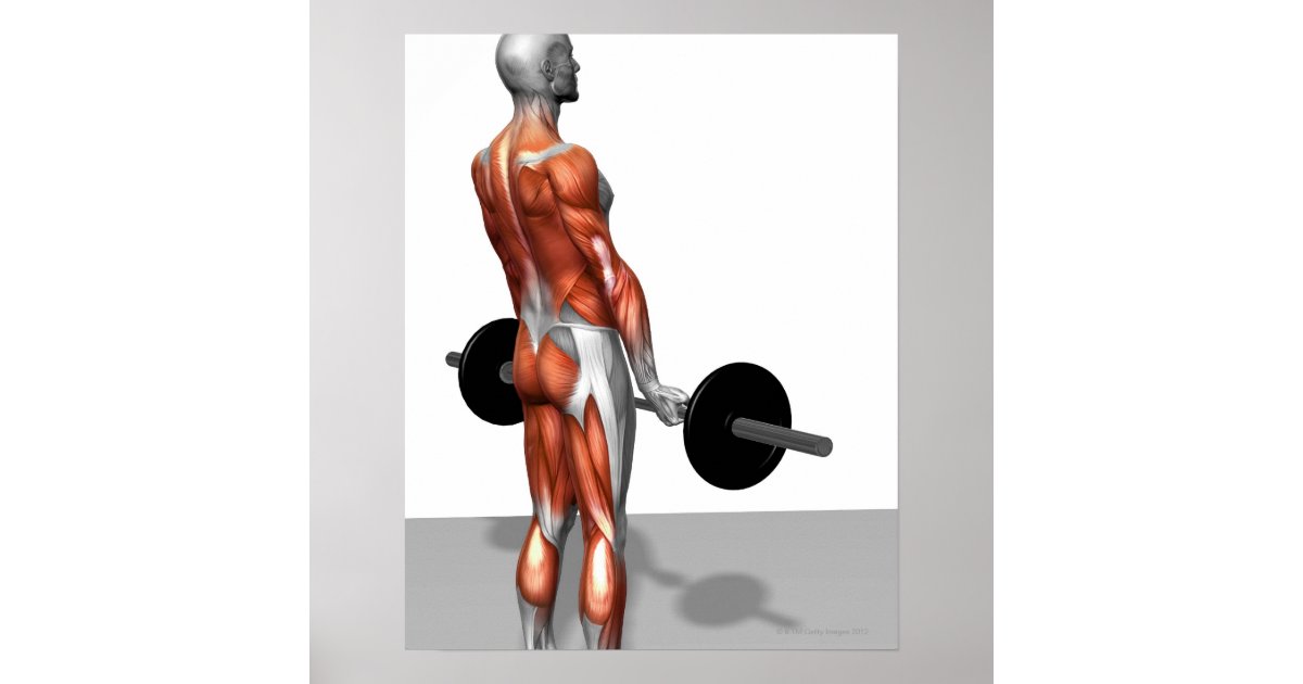 Romanian Deadlift Poster | Zazzle