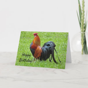 Chicken Birthday Cards | Zazzle UK