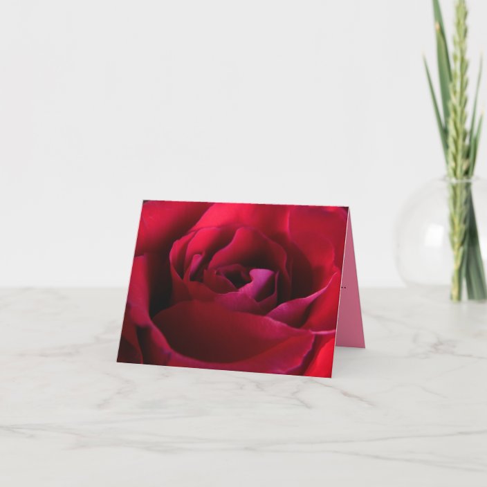 Rose Cards Red Flowers Custom Greeting Card | Zazzle.co.uk