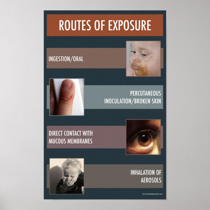 Route of Exposure Safety Informational Poster | Zazzle.co.uk