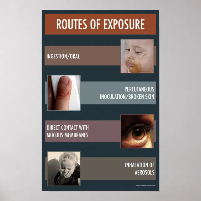 Route of Exposure Safety Informational Poster | Zazzle