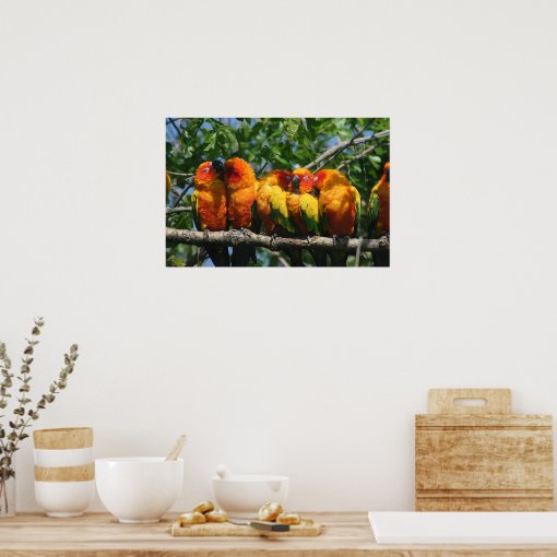 Row of Cute Little Parrots Snuggling Poster | Zazzle