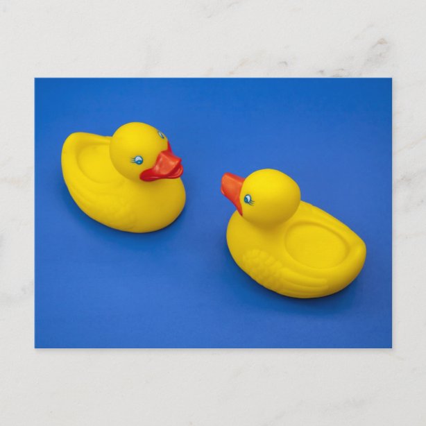 Rubber Duck Cards | Zazzle UK