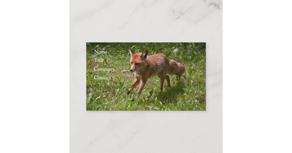 Running fox business card | Zazzle