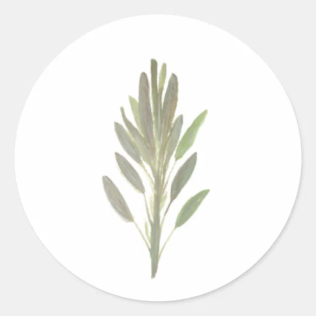 Sage herb botanical plant greenery classic round sticker | Zazzle
