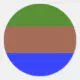 Sapiosexual Pride Flag Classic Round Sticker | Zazzle