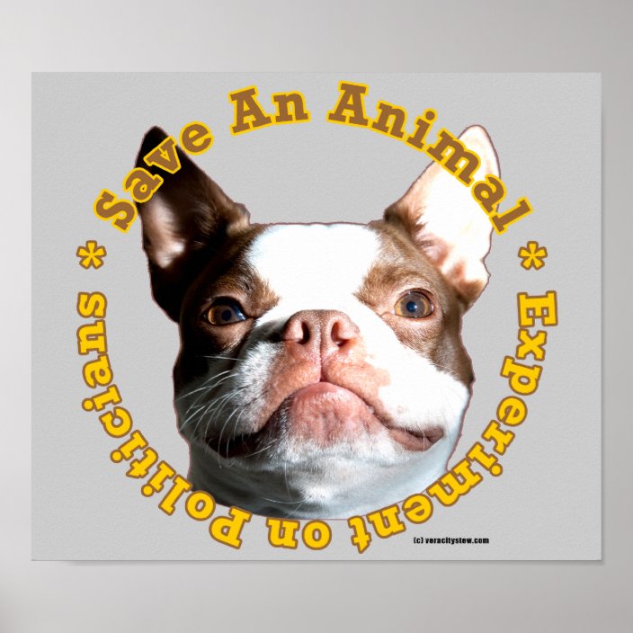 Save An Animal-Dog Poster | Zazzle.co.uk