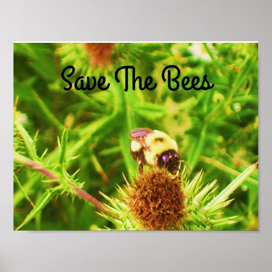 Save The Bees Poster | Zazzle.co.uk