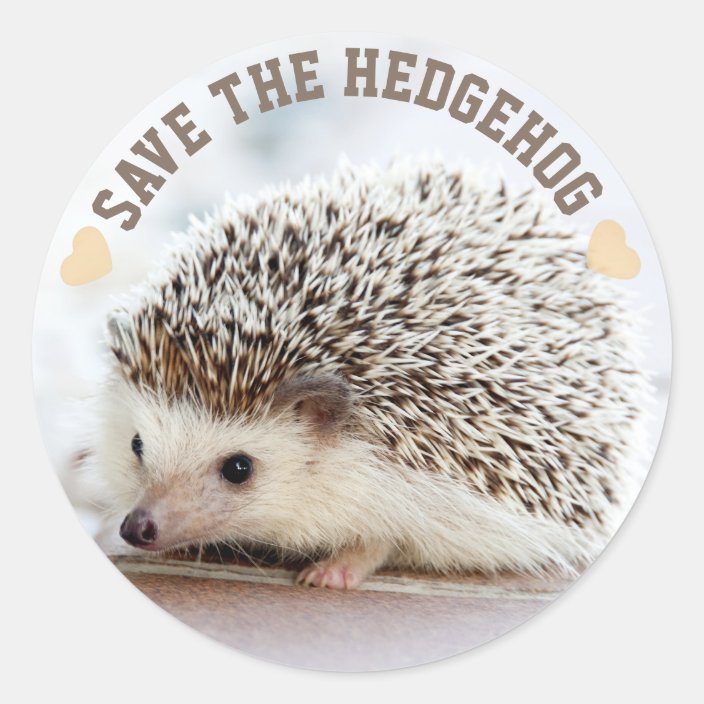 Save The Hedgehog Classic Round Sticker | Zazzle.co.uk