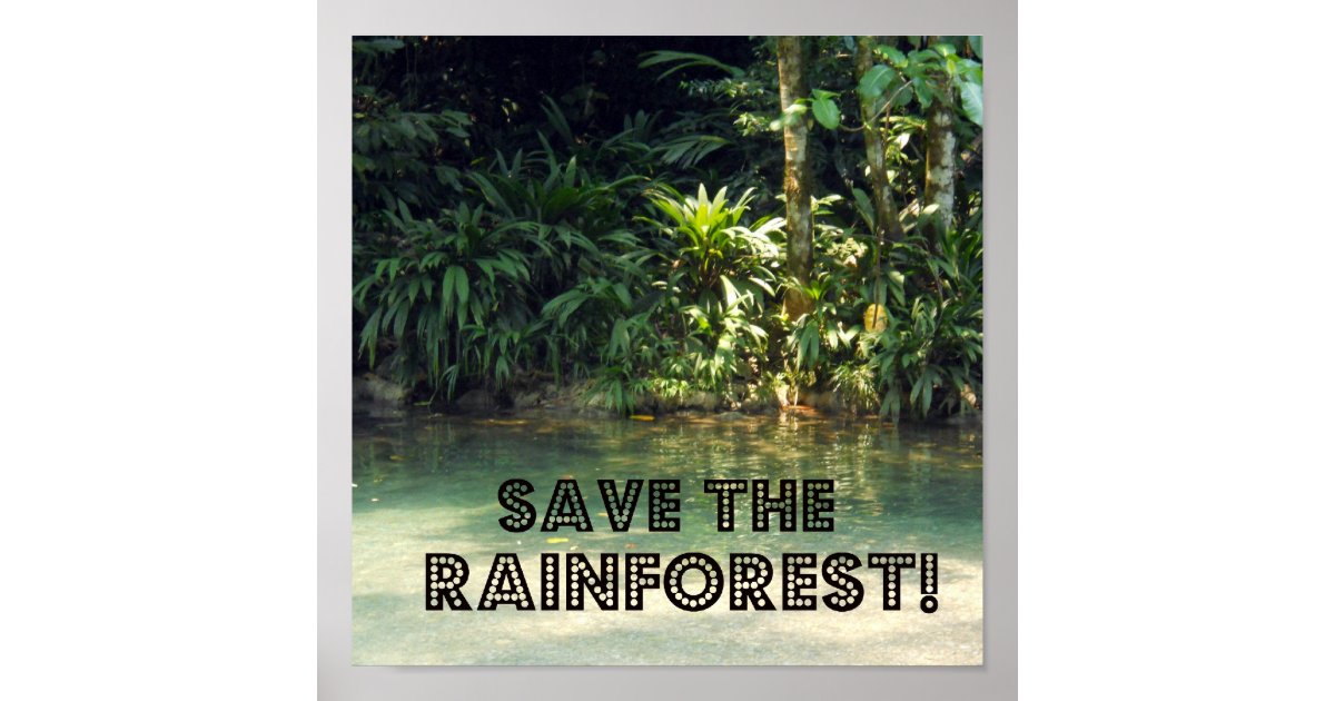 Save the Rainforest! Poster | Zazzle