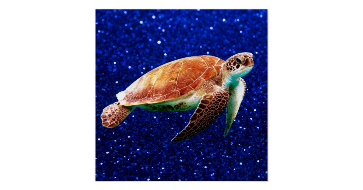 Save the Sea Turtles Poster | Zazzle